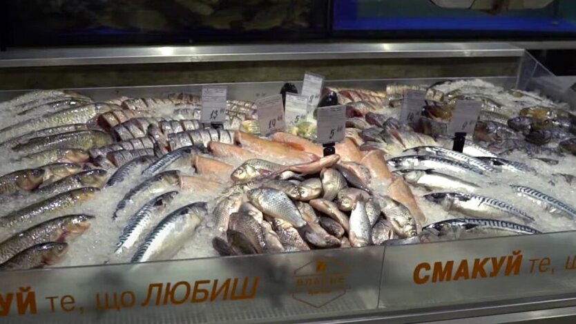 Popular fish to become a delicacy in Ukraine: which species will vanish ...